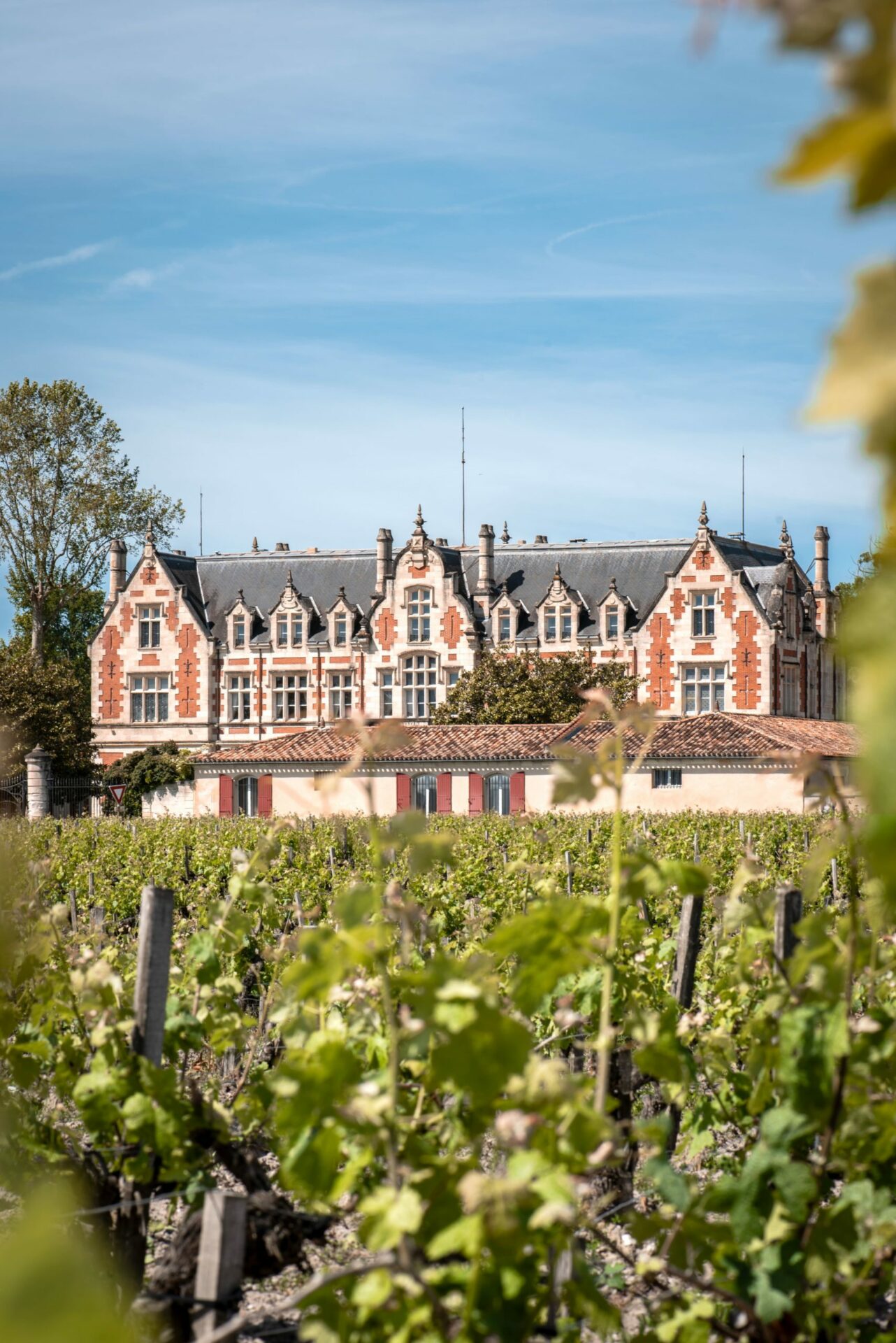 The architecture of the Château Cantenac Brown - Cantenac Brown